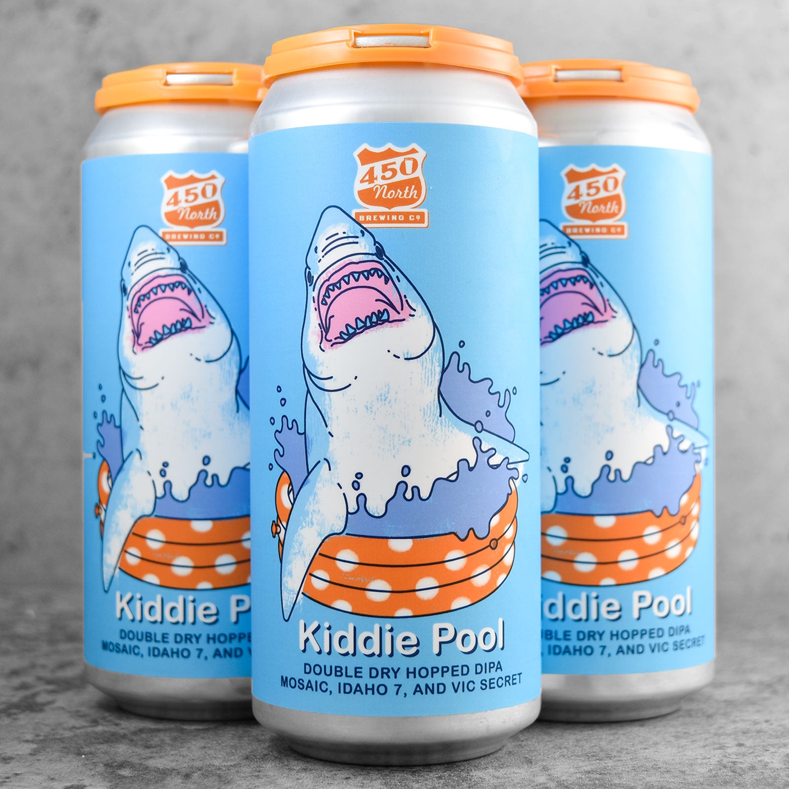 450 North Kiddie Pool – CBK