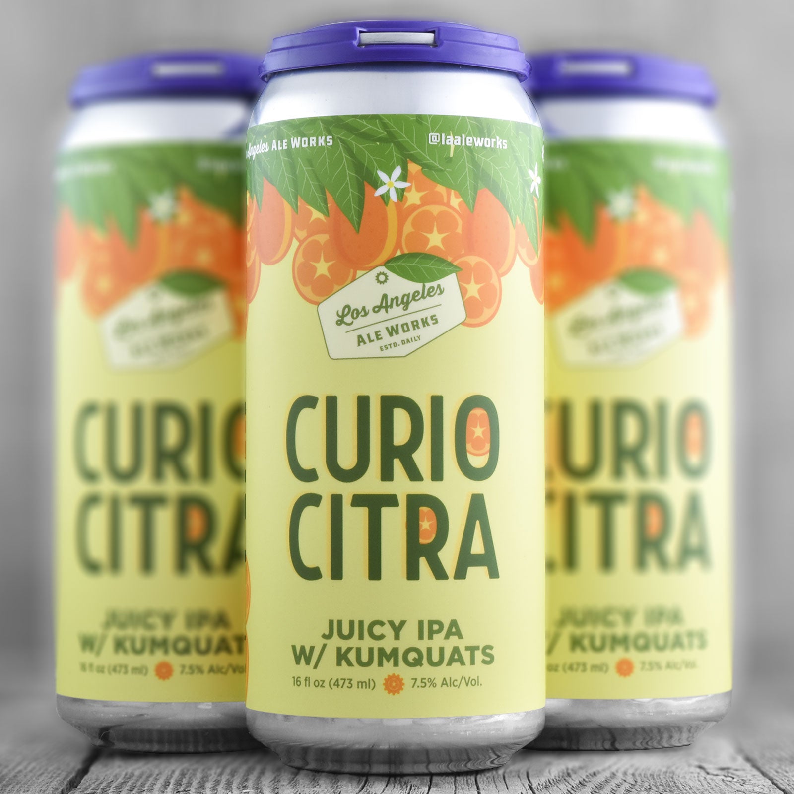 LA Ale Works Curio Citra IPA | Craft Beer Kings – CBK