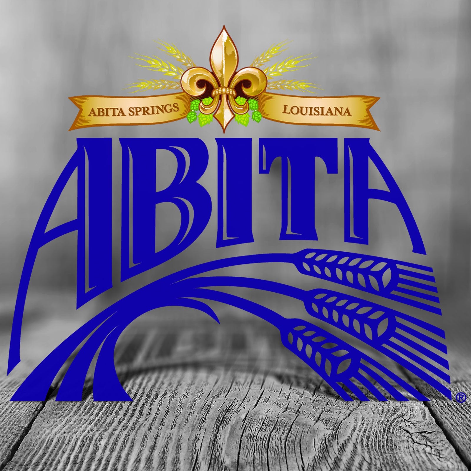 Abita Strawberry Lager | Craft Beer Kings – CBK